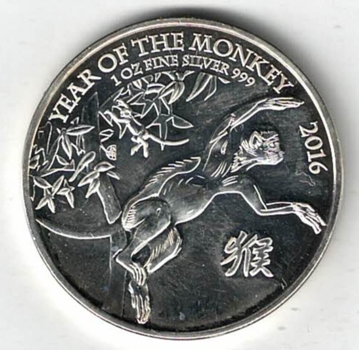 2016 Silver One Ounce Year Of The Monkey | Dorset Coin Company